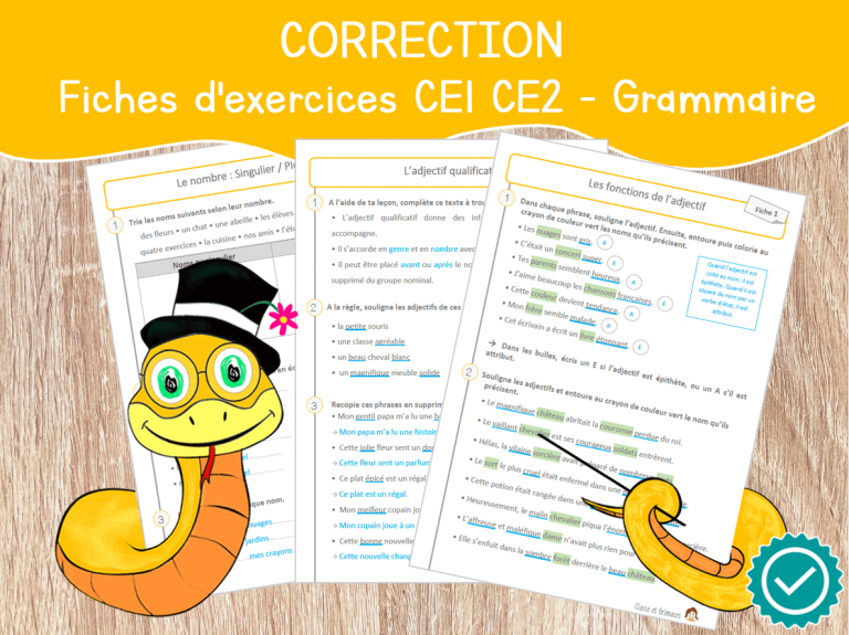 Correction - Fiches d'exercices de Grammaire - CE1-CE2